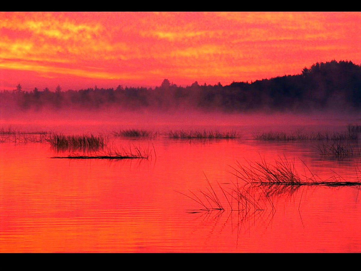 Sød Natur, Hdr Billeder, Solopgang baggrund | Gratis baggrundsfoto