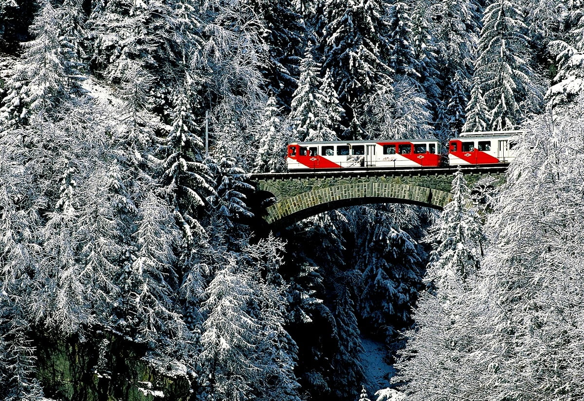 Skov, Vinter, Natur baggrund | Download Gratis Bedste baggrund