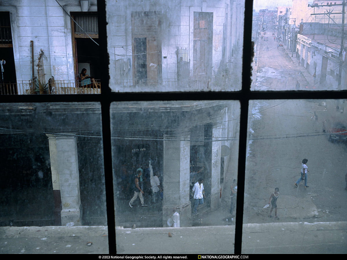 Nat Geo, National Geographic, Window background | FREE Download pictures