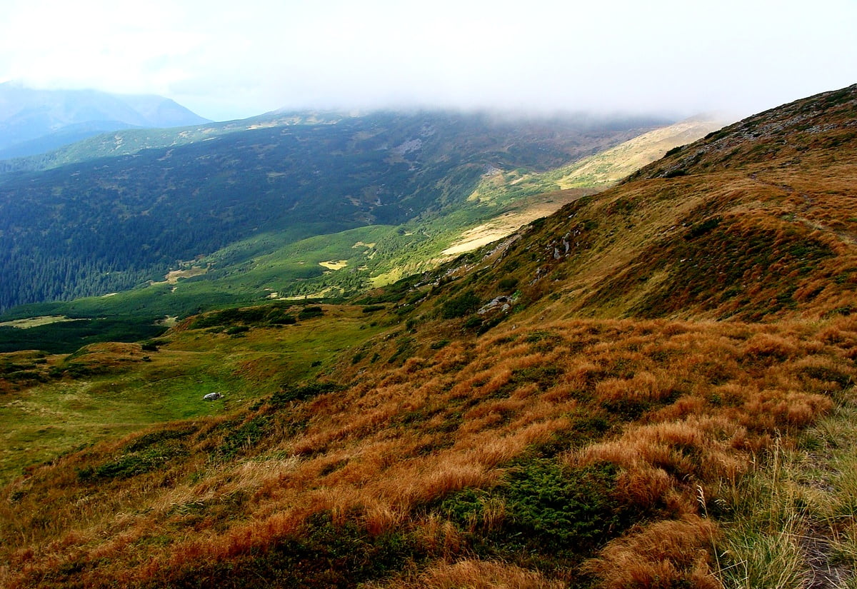 20+ Carpathians wallpapers HD | Download Free backgrounds