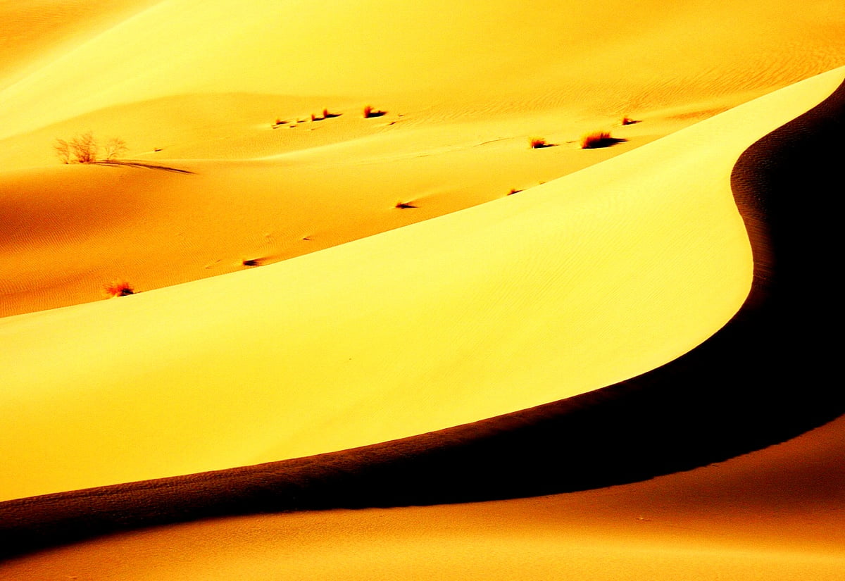 Sahara Wallpapers Hd For Desktop Pixelstalknet White Background 8k
