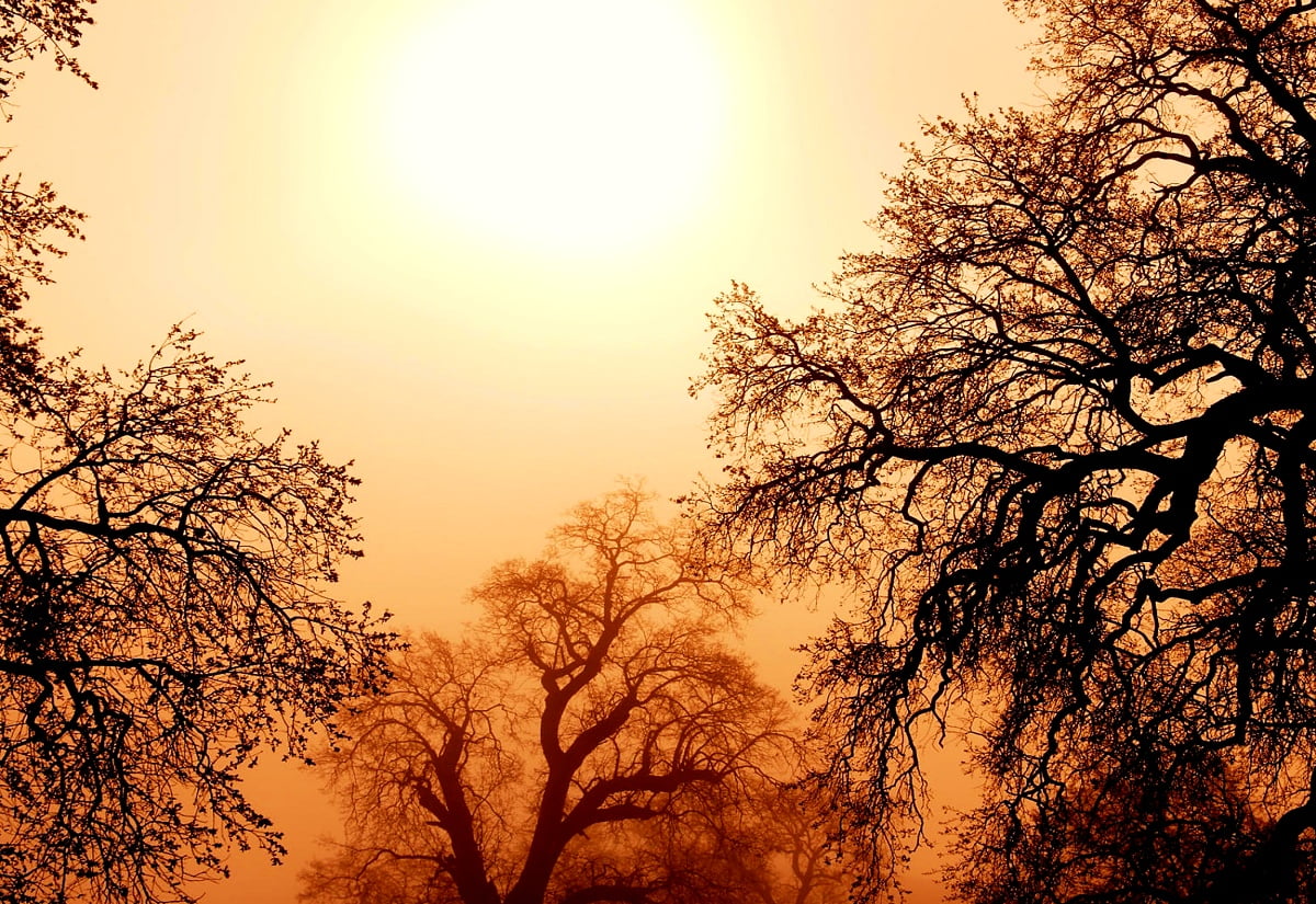 Bilde til bakgrunn Sol, Natur, Tåke | Laste Ned Topp bakgrunnsbilder