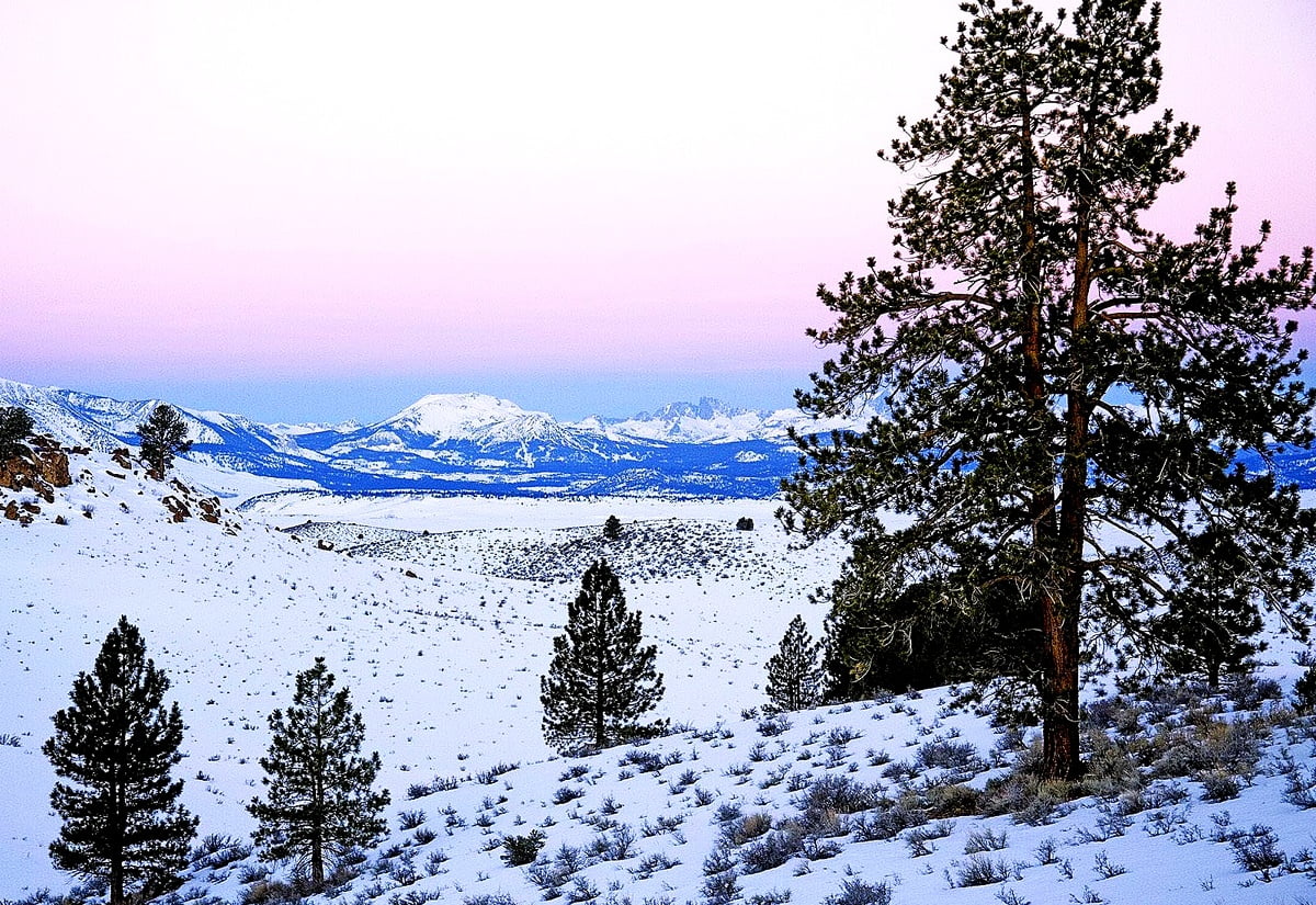 Baggrundsbillede Vinter, Sne, Natur | Download baggrundsbillede