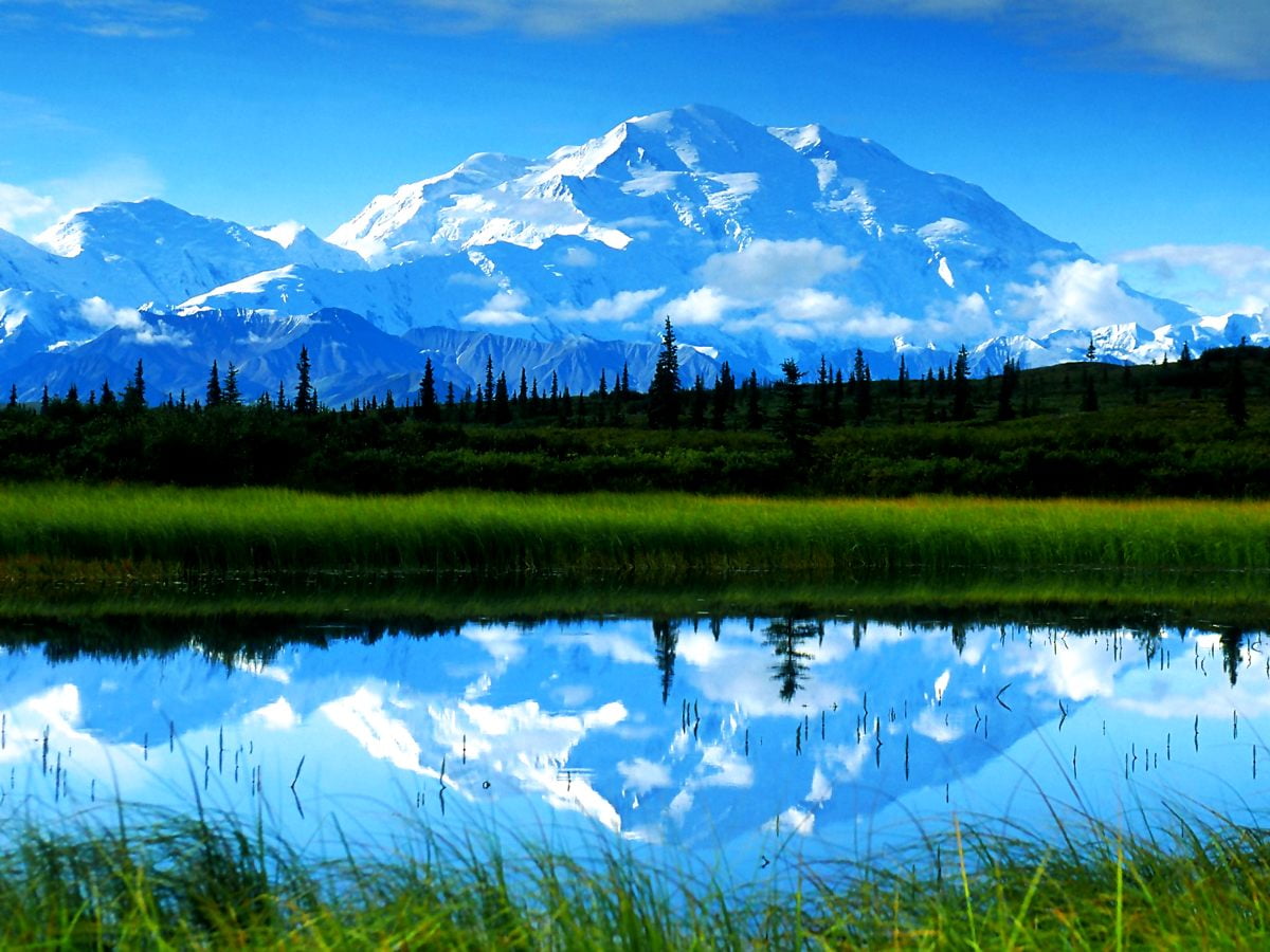 Denali National Park and Preserve wallpapers HD | Download Free backgrounds