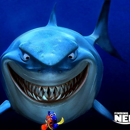 Fondo Buscando A Nemo, Pez, Tiburón | Imagen Gratis